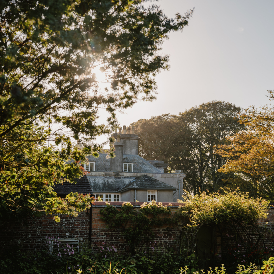 A Private Tour of Trewithen House & Garden - The Polizzi Collection